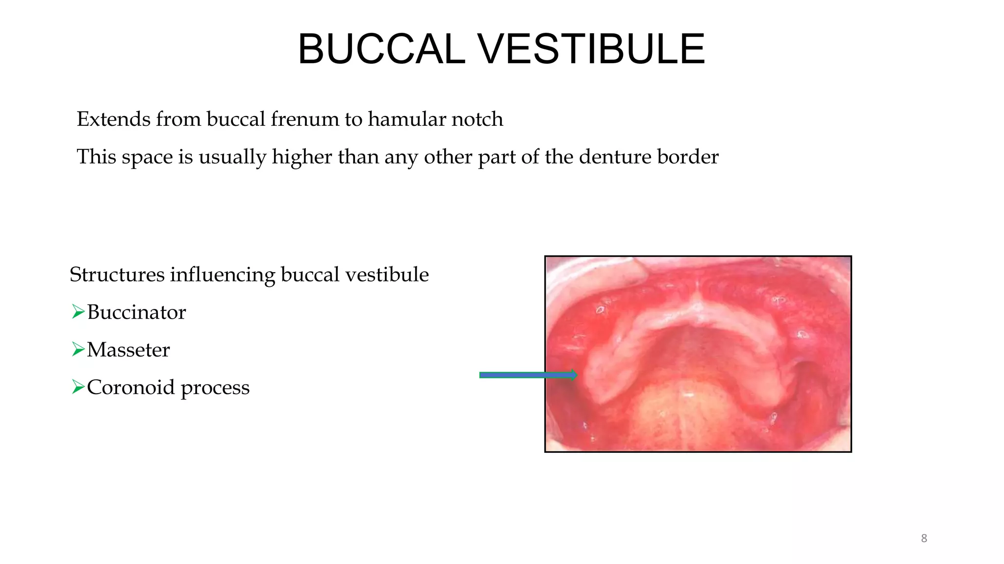 ANATOMICAL LANDMARKS AND PRIMARY IMPRESSION.pptx