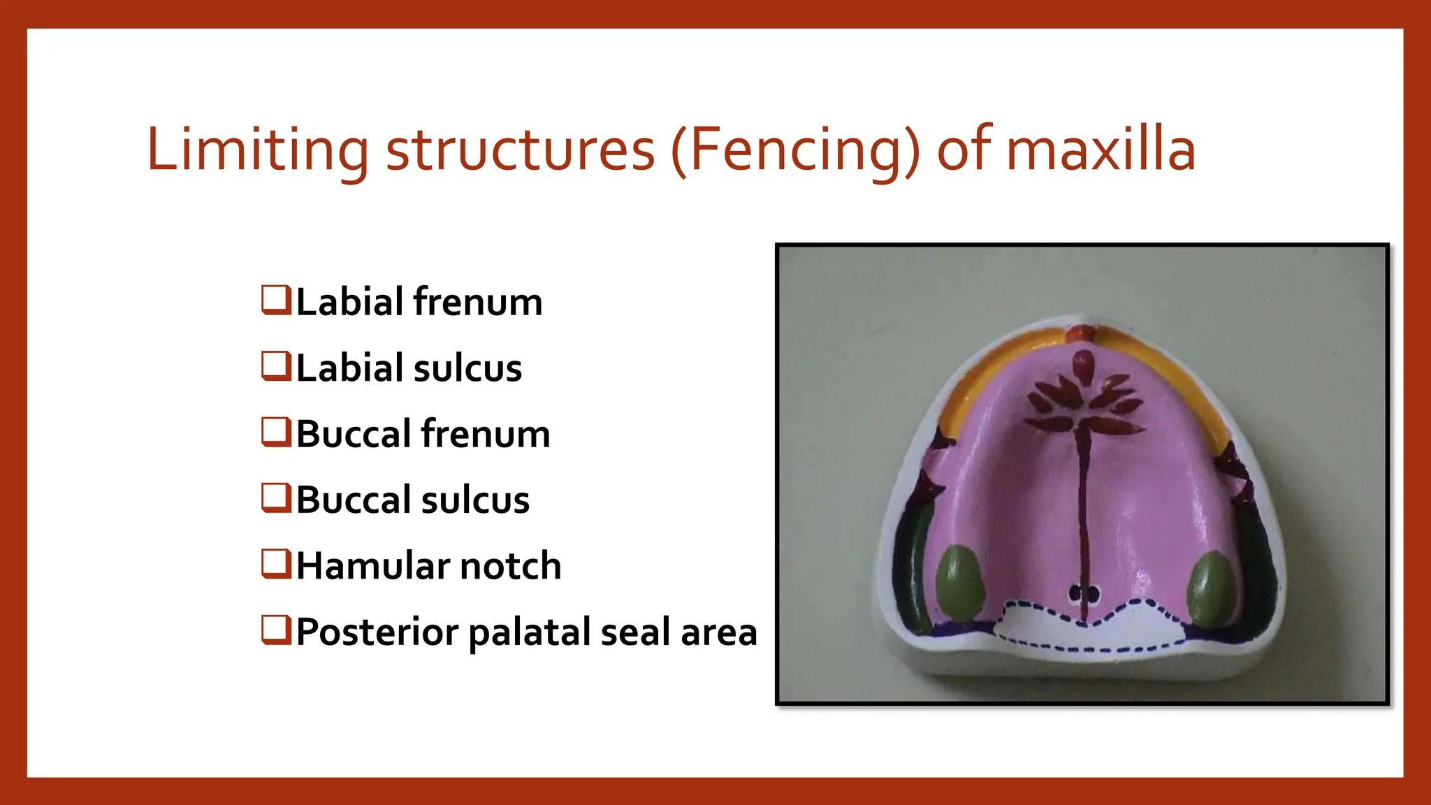 anatomical landmarks [Autosaved].pptx