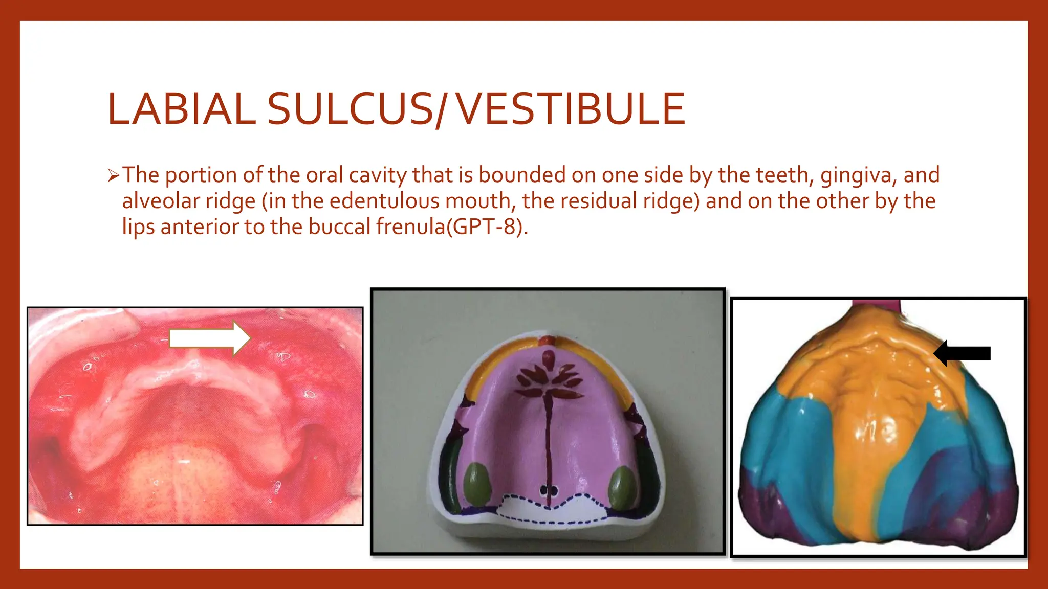 anatomical landmarks [Autosaved].pptx