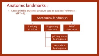 anatomical landmarks [Autosaved].pptx