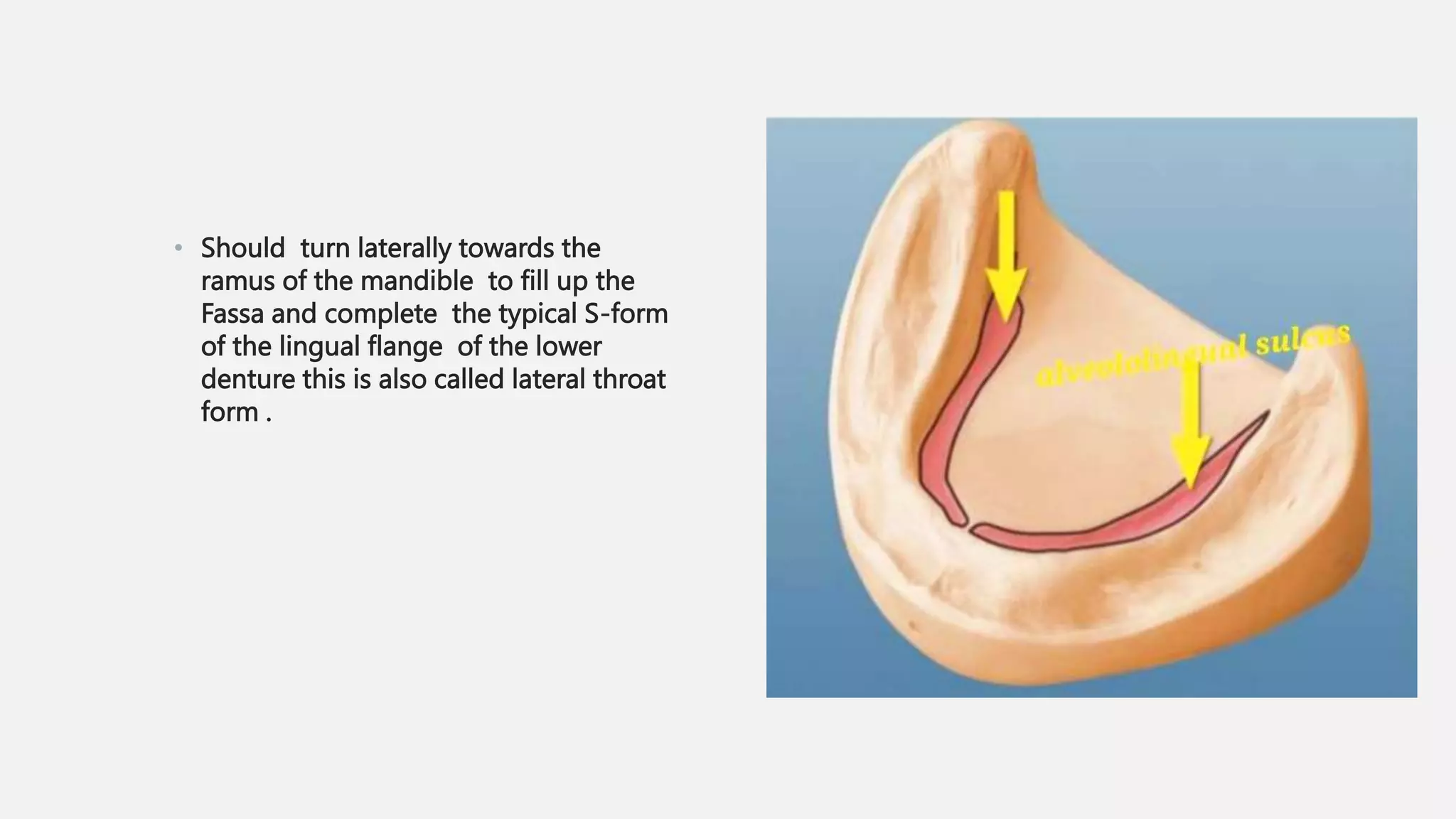 Anatomical landmarks in mandible | PPTX