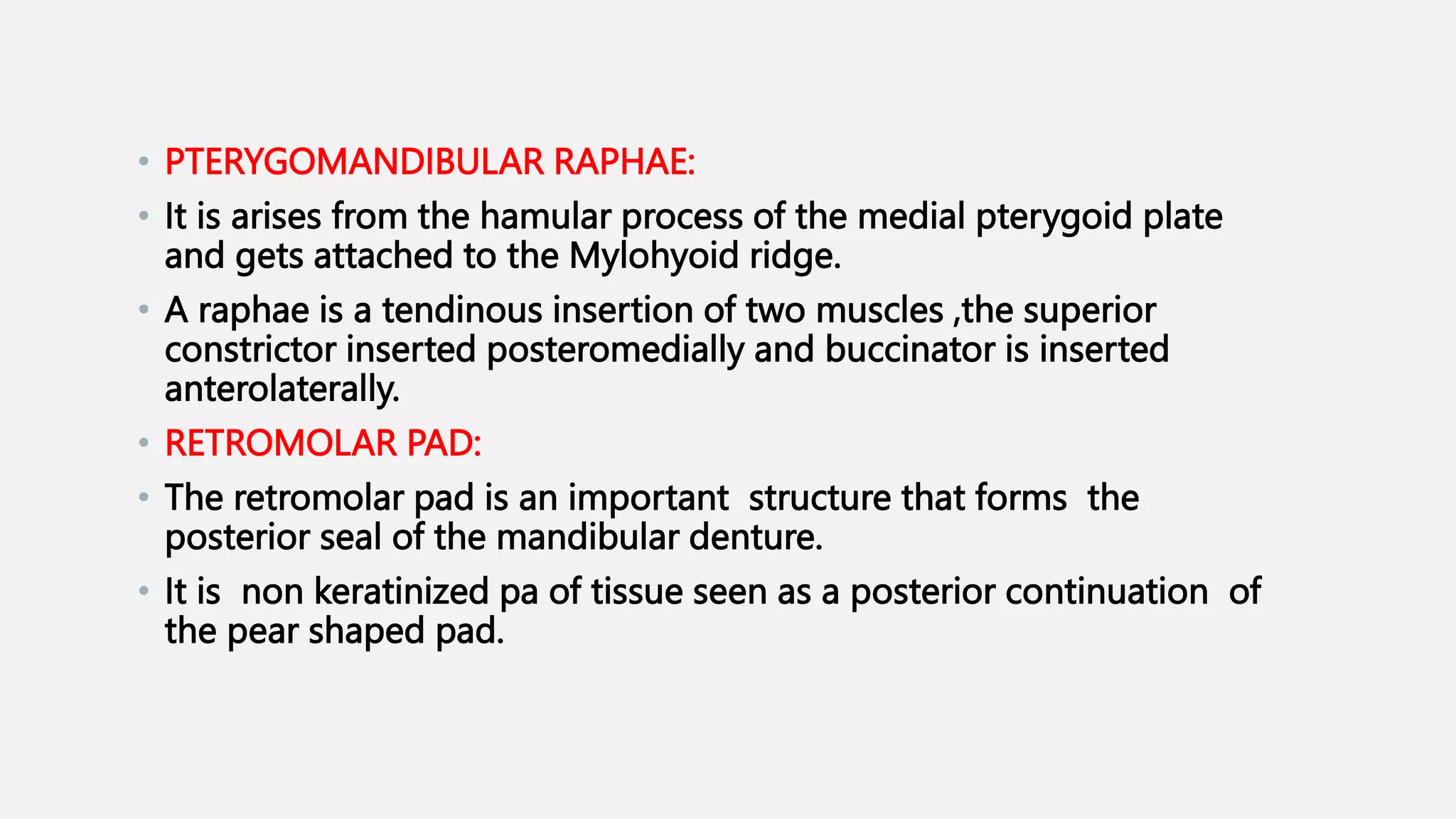 Anatomical landmarks in mandible | PPTX