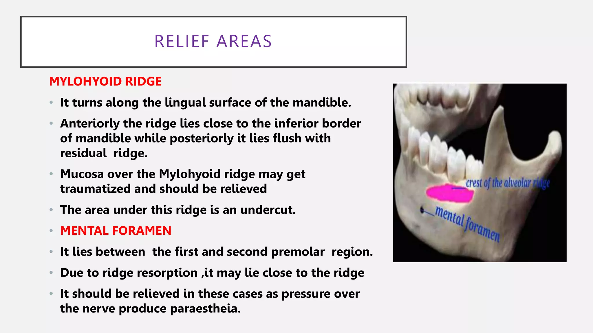 Anatomical landmarks in mandible | PPTX