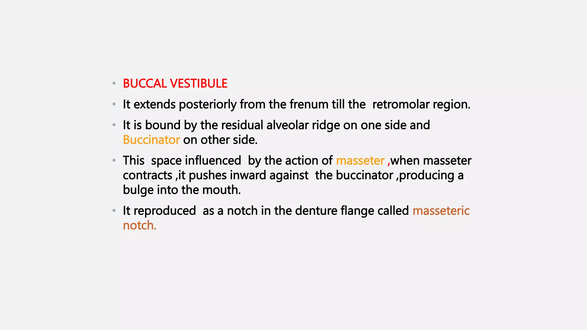 Anatomical landmarks in mandible | PPTX
