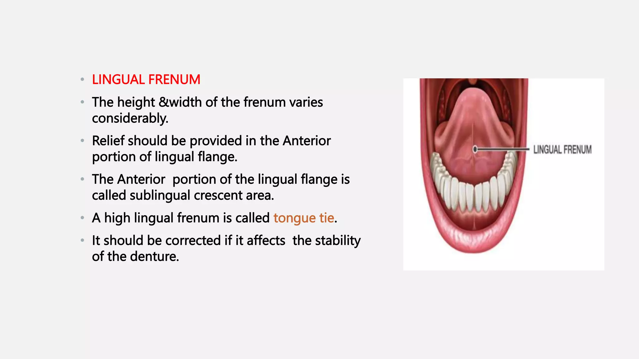 Anatomical landmarks in mandible | PPTX