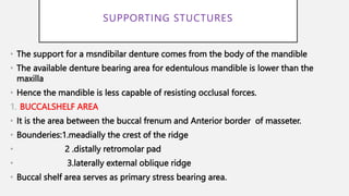 Anatomical landmarks in mandible | PPTX