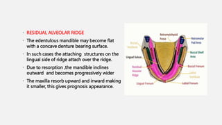 Anatomical landmarks in mandible | PPT