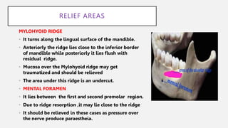 Anatomical landmarks in mandible | PPTX