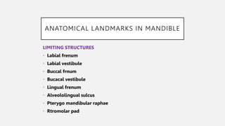 Anatomical landmarks in mandible | PPT