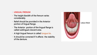 Anatomical landmarks in mandible | PPTX