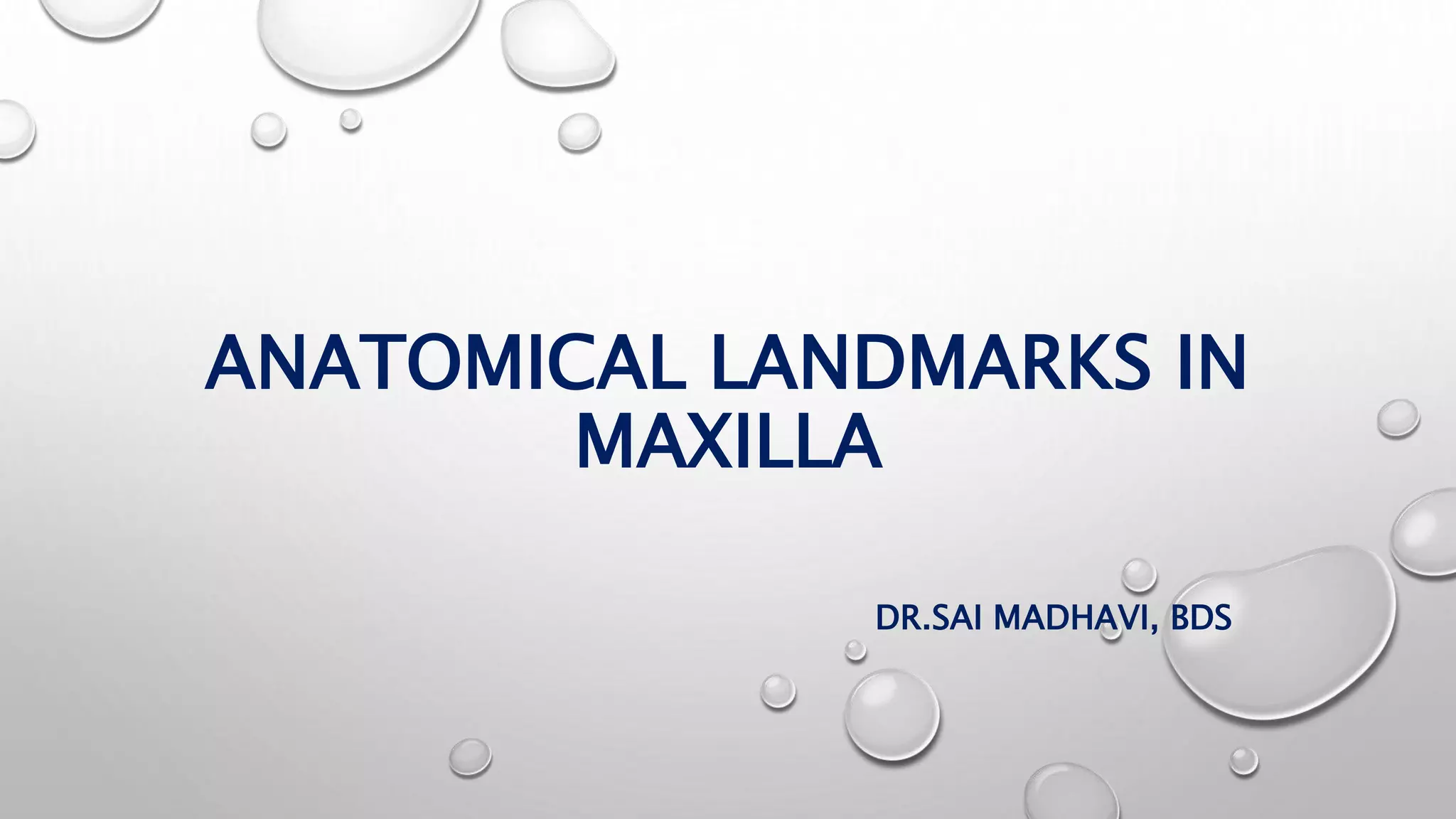Anatomical landmarks in maxilla | PPT