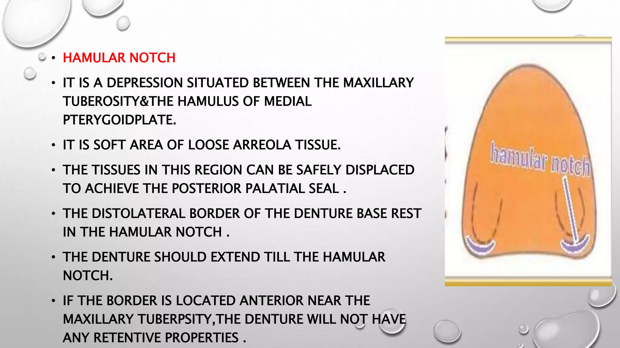 Anatomical landmarks in maxilla | PPTX | Ear, Nose and Throat ...