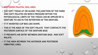 Anatomical landmarks in maxilla | PPTX | Ear, Nose and Throat ...