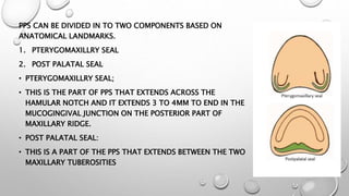 Anatomical landmarks in maxilla | PPTX | Ear, Nose and Throat ...