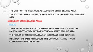 Anatomical landmarks in maxilla | PPTX | Ear, Nose and Throat ...