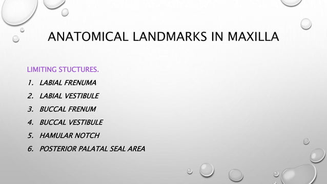 Anatomical landmarks in maxilla | PPT