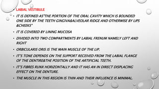 Anatomical landmarks in maxilla | PPTX | Ear, Nose and Throat ...