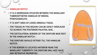 Anatomical landmarks in maxilla | PPTX | Ear, Nose and Throat ...