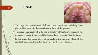 ANATOMICAL LANDMARKS IN MAXILLA and it's importance | PPTX