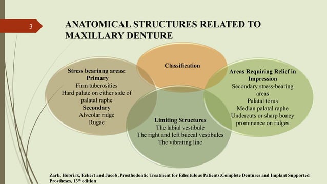 ANATOMICAL LANDMARKS IN MAXILLA and it's importance | PPTX