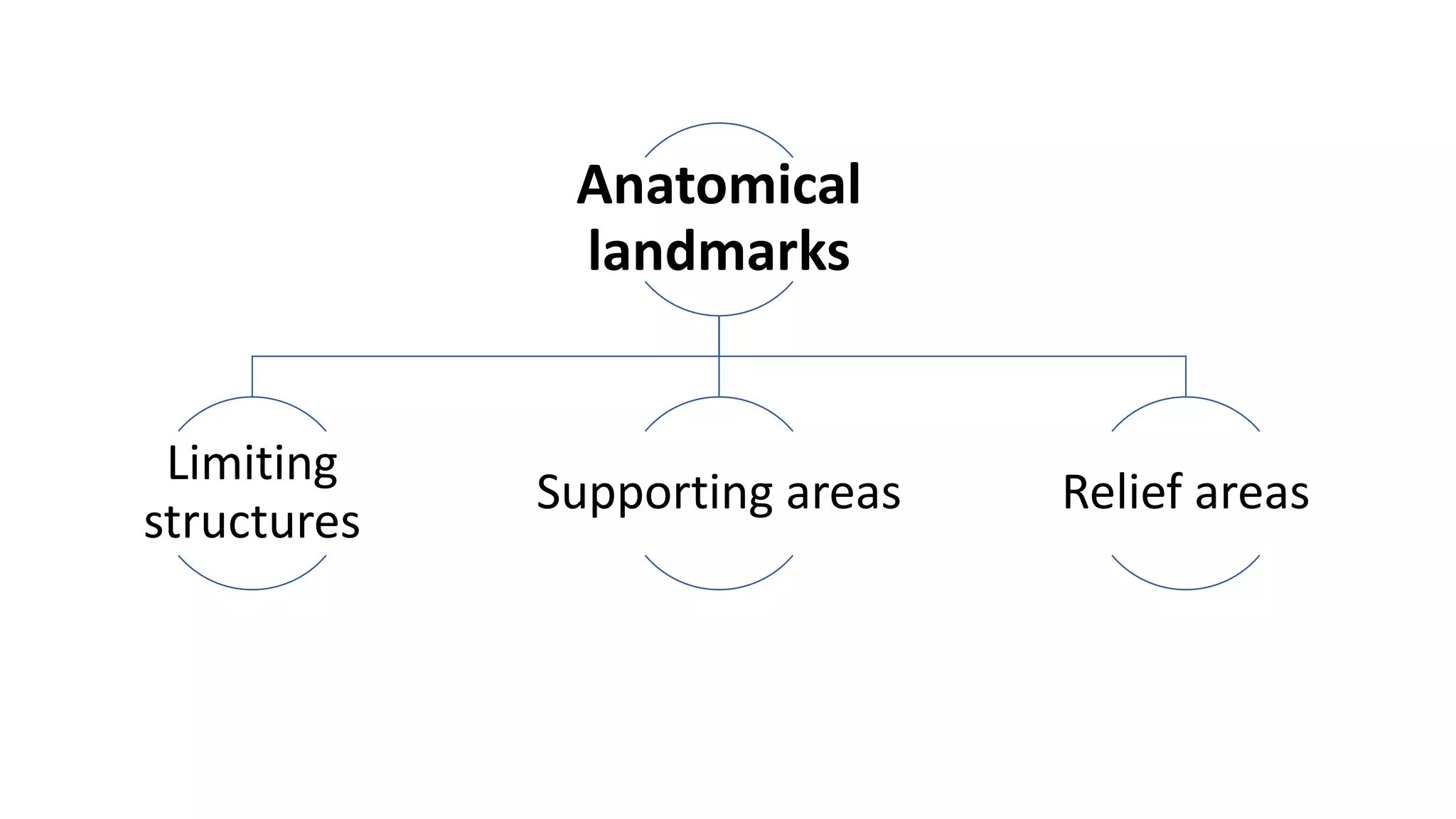 Anatomical landmarks in maxillae and mandible | PPTX