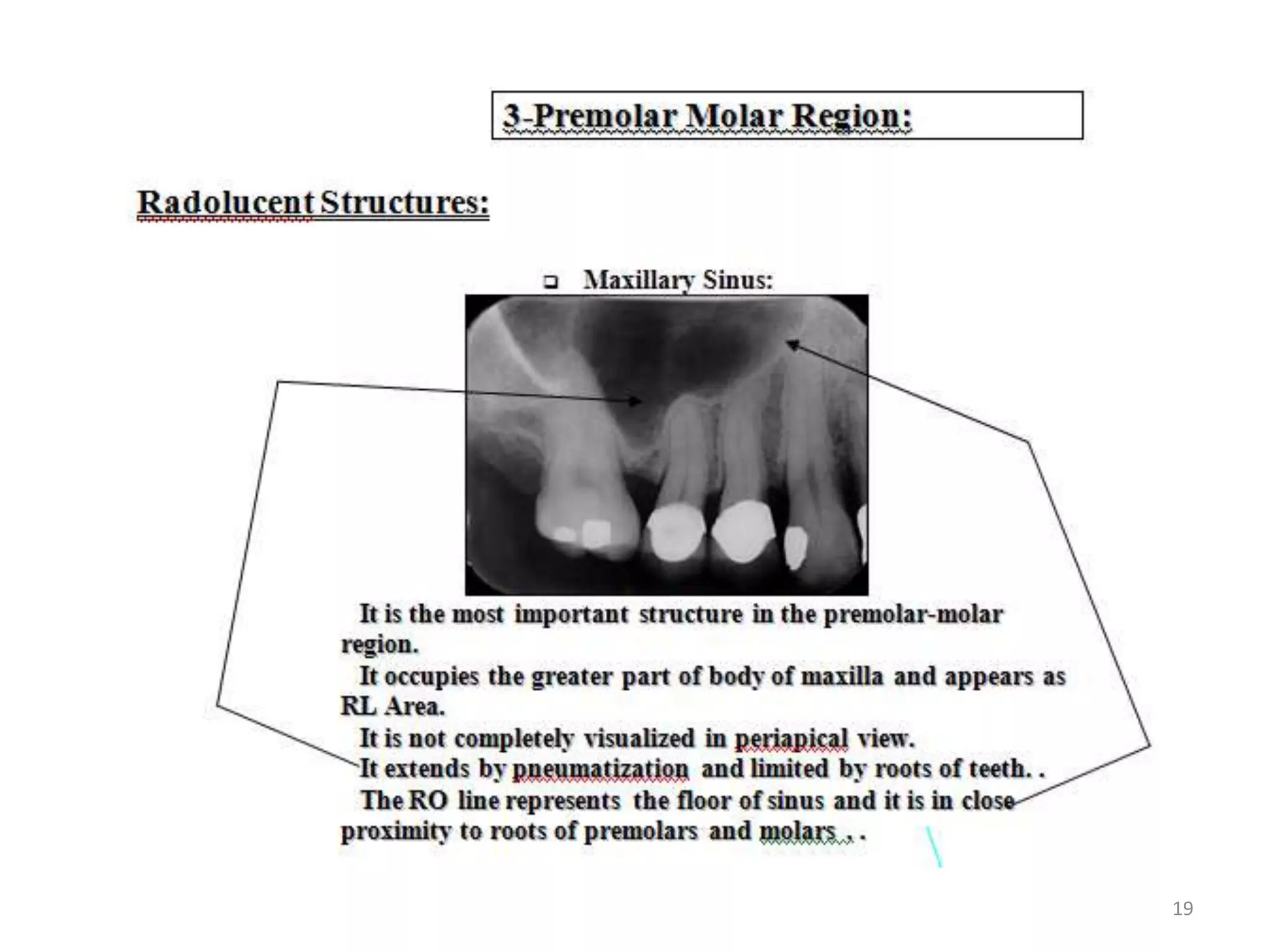 Anatomical landmarks in Periapical and Orthopantomogram X-ray | PPTX