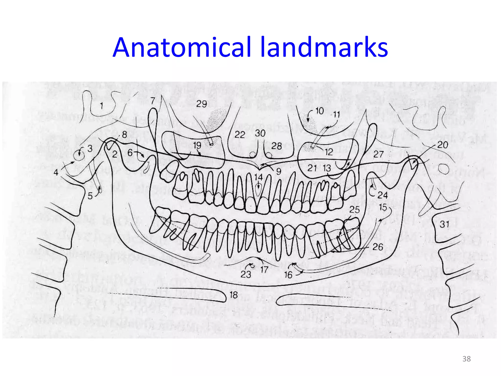 Anatomical landmarks in Periapical and Orthopantomogram X-ray | PPTX