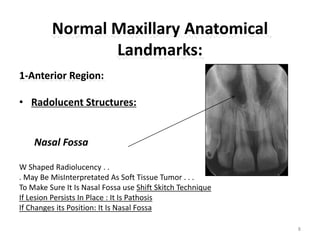 Anatomical landmarks in Periapical and Orthopantomogram X-ray | PPTX