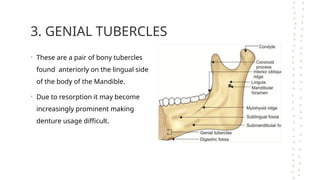 anatomical Landmarks in the mandible.pptx
