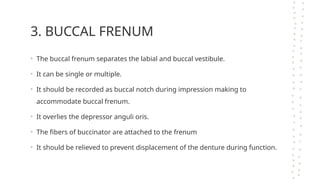 anatomical Landmarks in the mandible.pptx