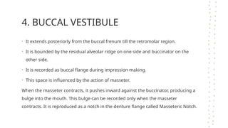 anatomical Landmarks in the mandible.pptx