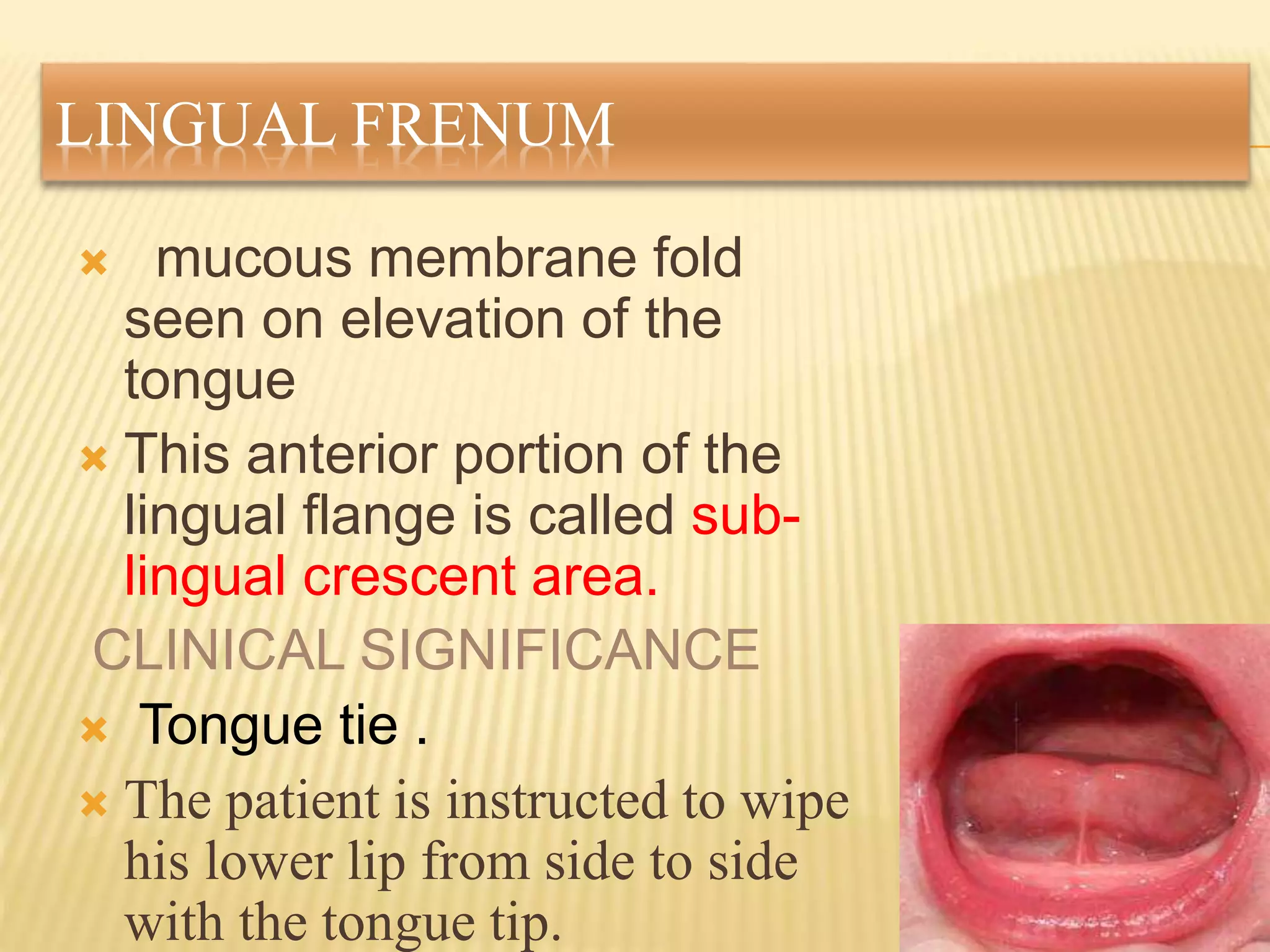 Anatomical Landmarks of Mandible | PPTX
