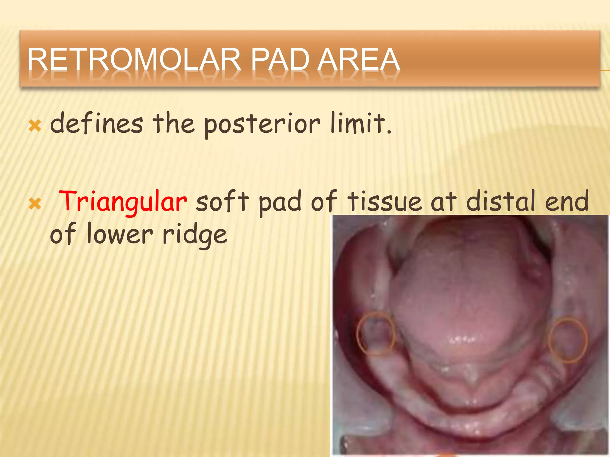 Anatomical Landmarks of Mandible | PPTX