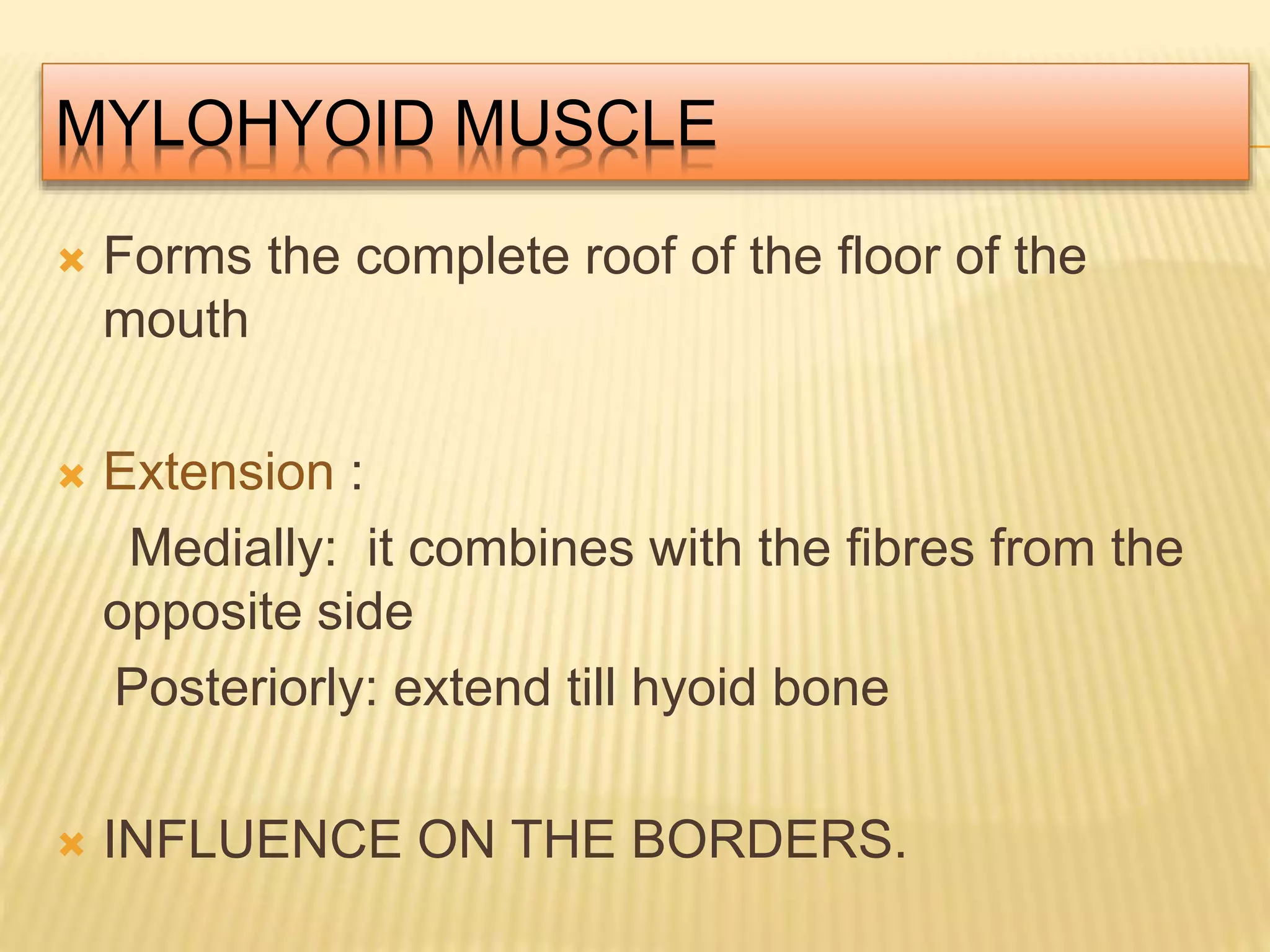 Anatomical Landmarks of Mandible | PPTX