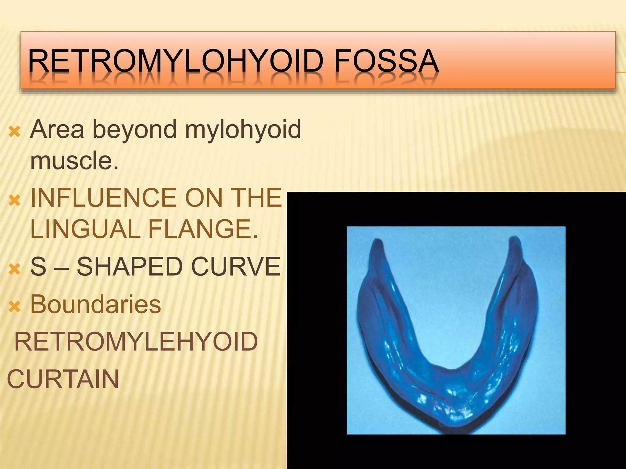Anatomical Landmarks of Mandible | PPTX