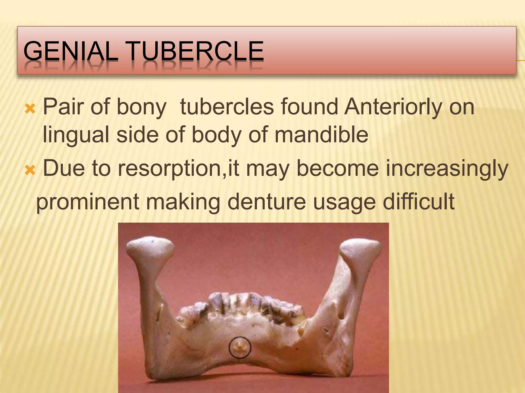 Anatomical Landmarks of Mandible | PPTX
