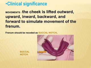 Anatomical Landmarks of Mandible | PPTX