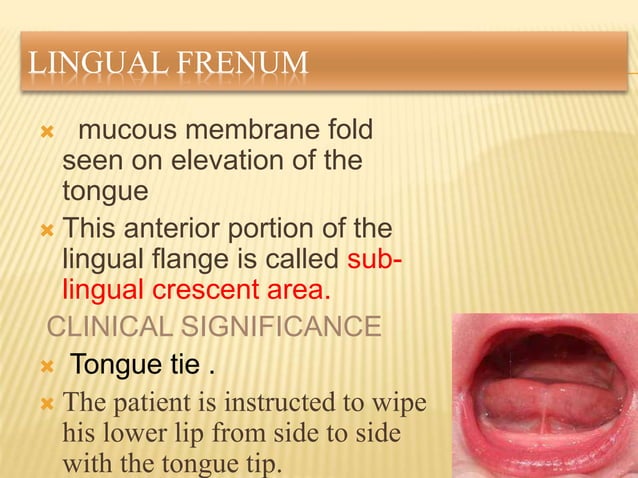 Anatomical Landmarks of Mandible | PPTX | Dental Health | Diseases and ...