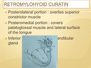 Anatomical Landmarks of Mandible | PPTX