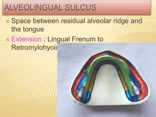 Anatomical Landmarks of Mandible | PPTX