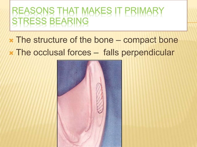 Anatomical Landmarks of Mandible | PPTX | Dental Health | Diseases and ...