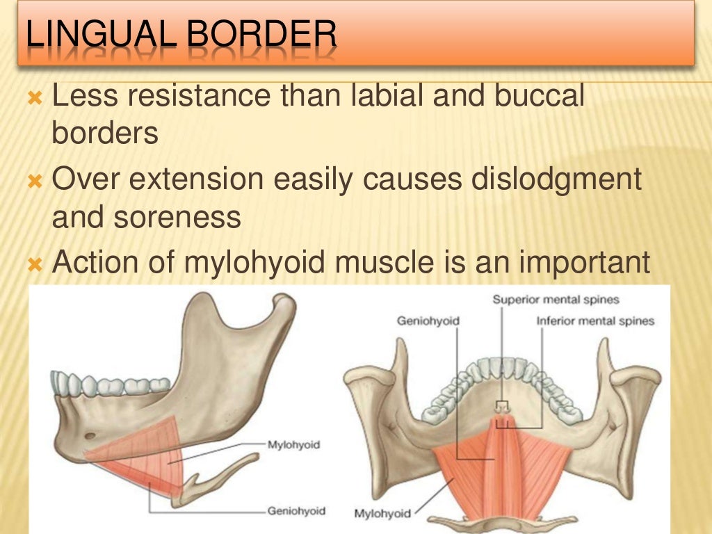 Anatomical Landmarks of Mandible