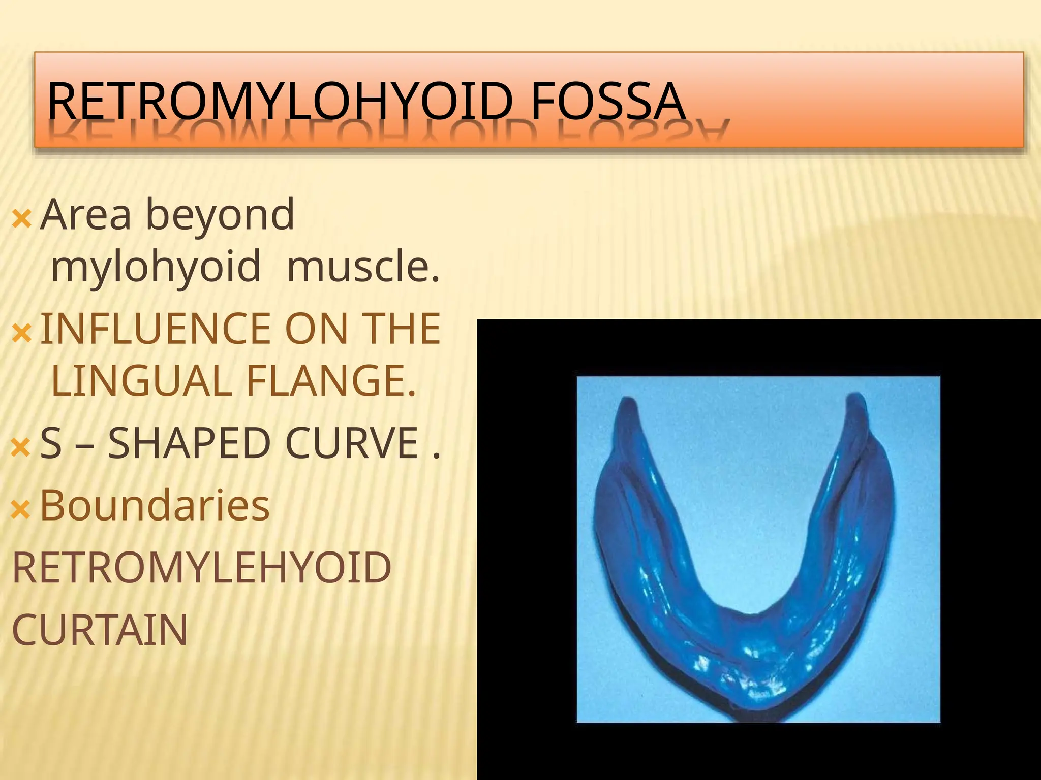 anatomicallandmarksmandible complete edentulous mouth | PPTX