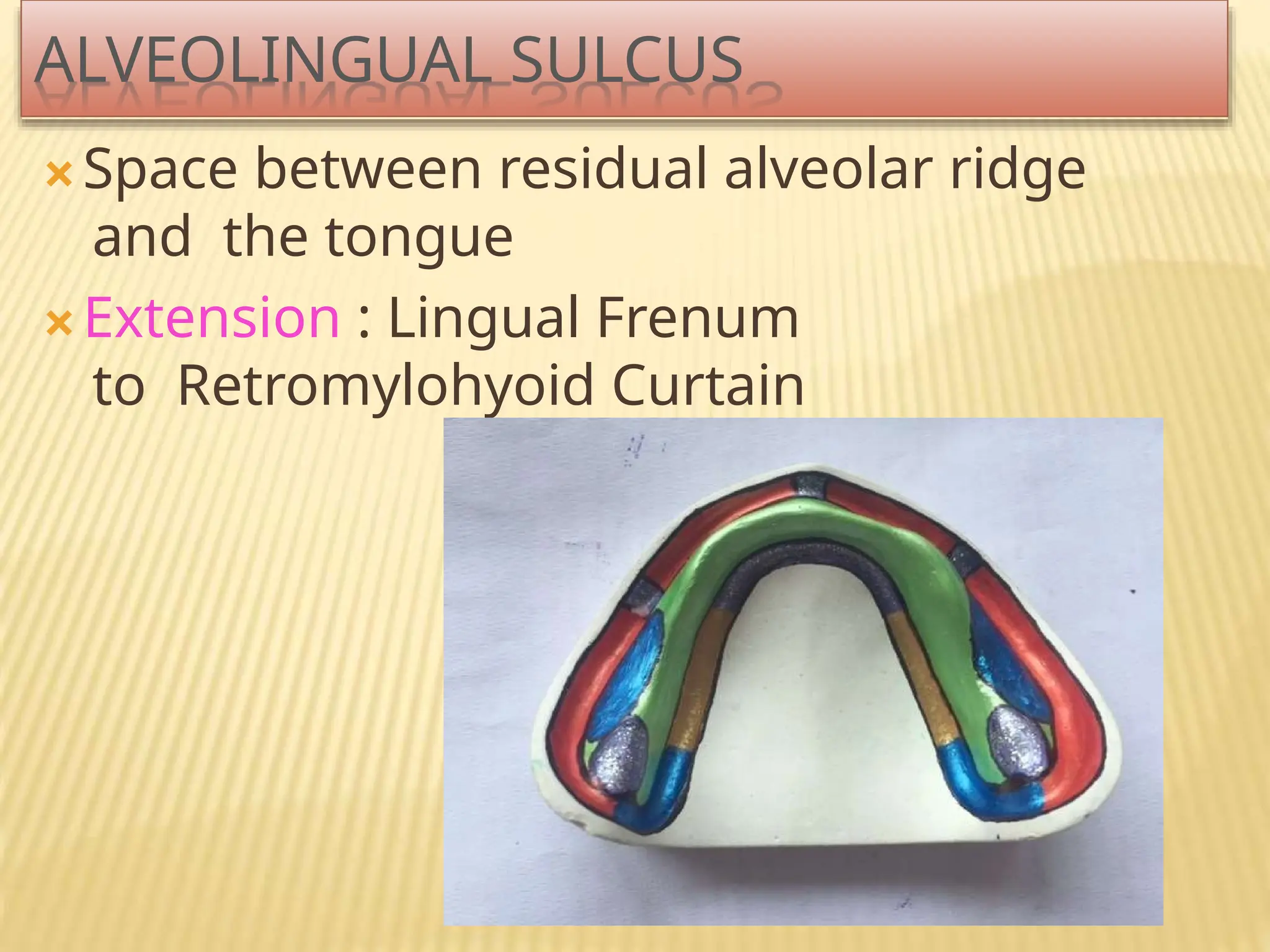 anatomicallandmarksmandible complete edentulous mouth | PPTX