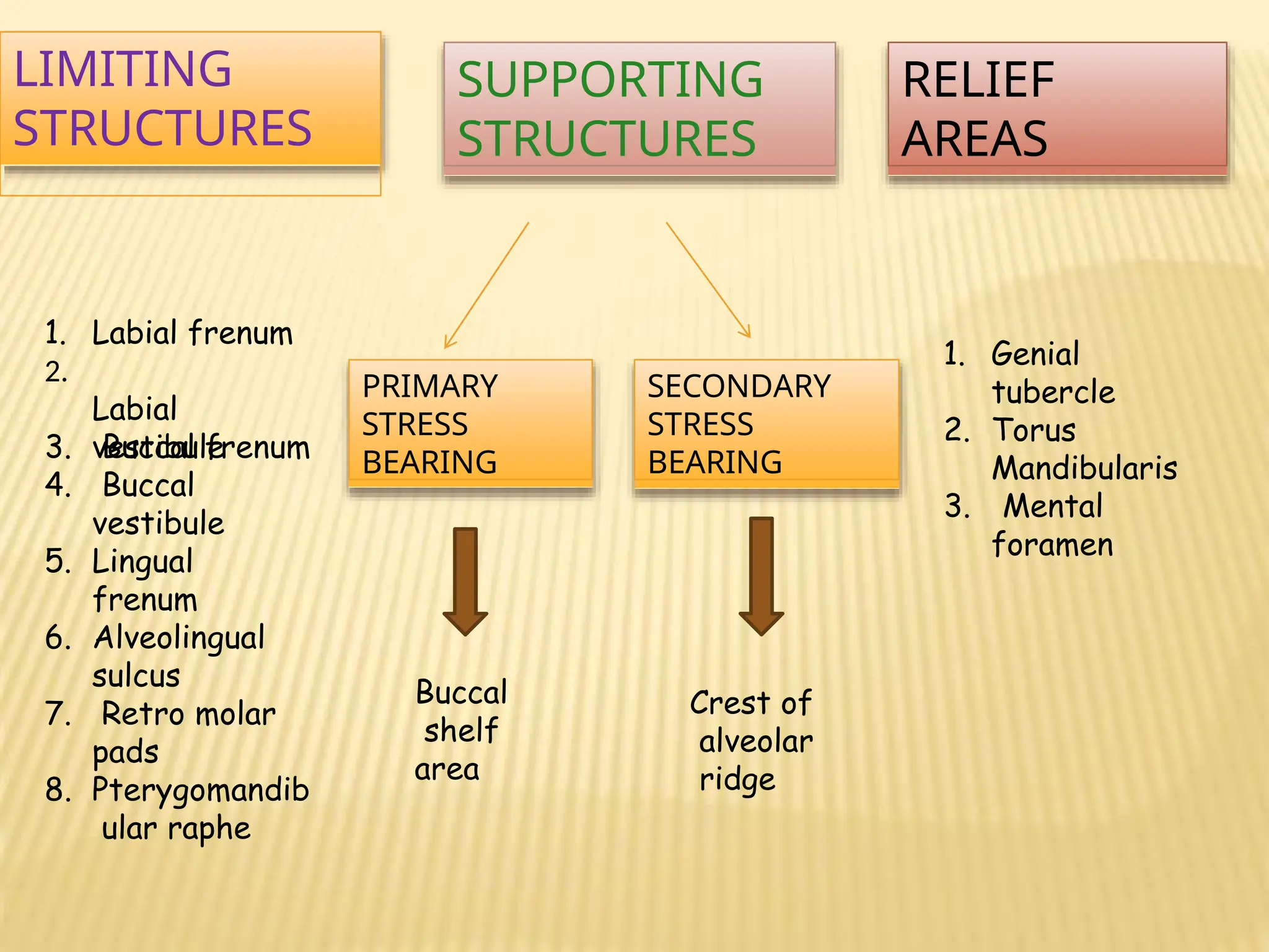 anatomicallandmarksmandible complete edentulous mouth | PPTX