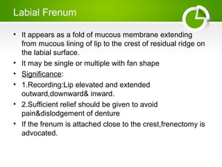Anatomical landmarks maxilla | PPT