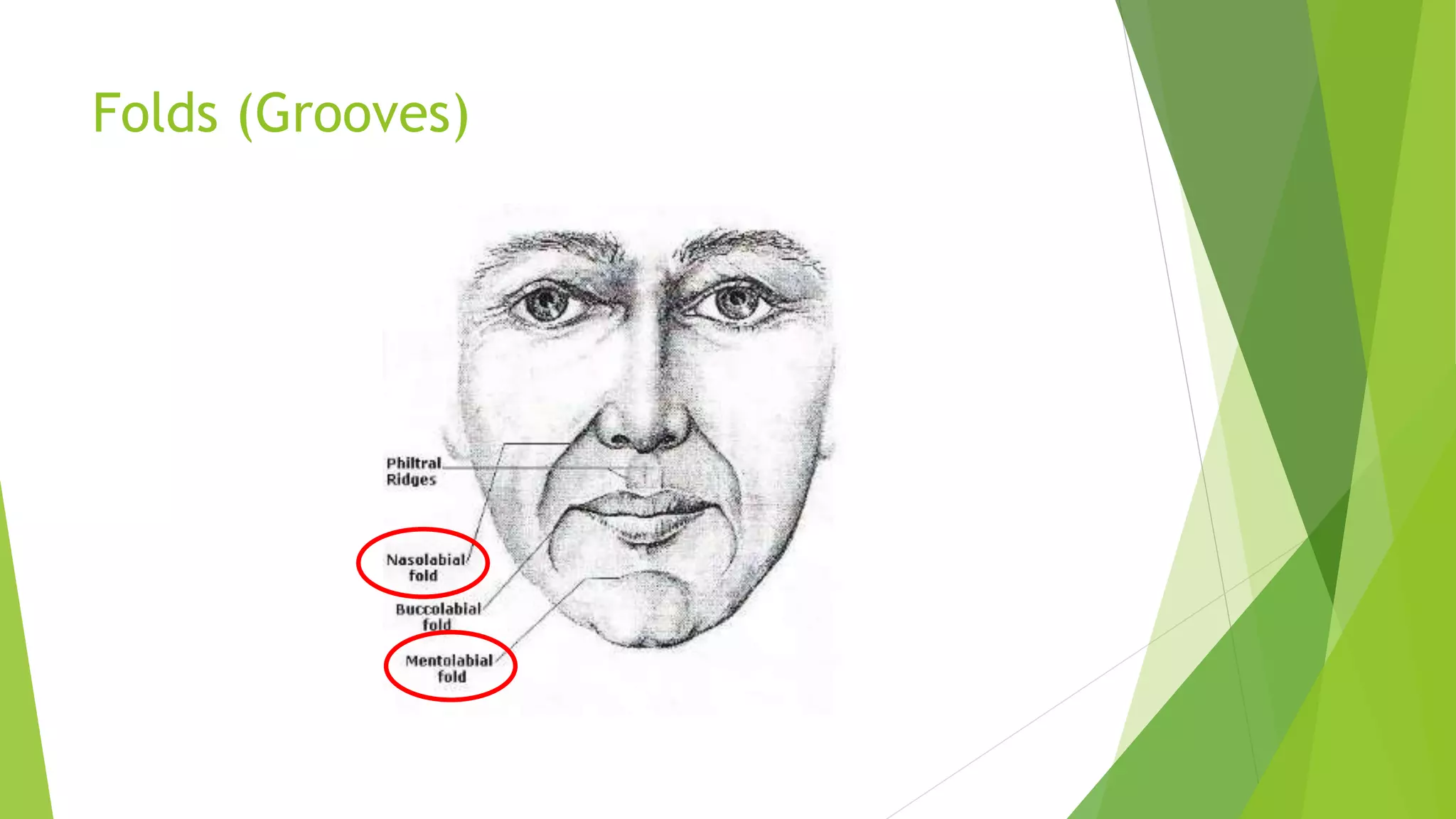Anatomical landmarks for edentulous patients and facial landmarks | PPTX