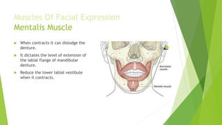 Anatomical landmarks for edentulous patients and facial landmarks | PPTX