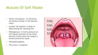 Anatomical landmarks for edentulous patients and facial landmarks | PPTX