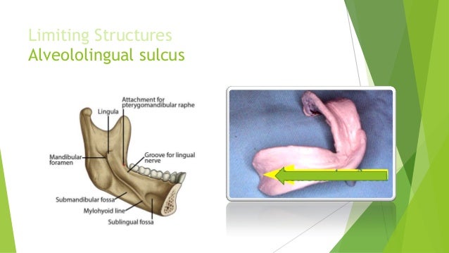 Anatomical landmarks for edentulous patients and facial landmarks